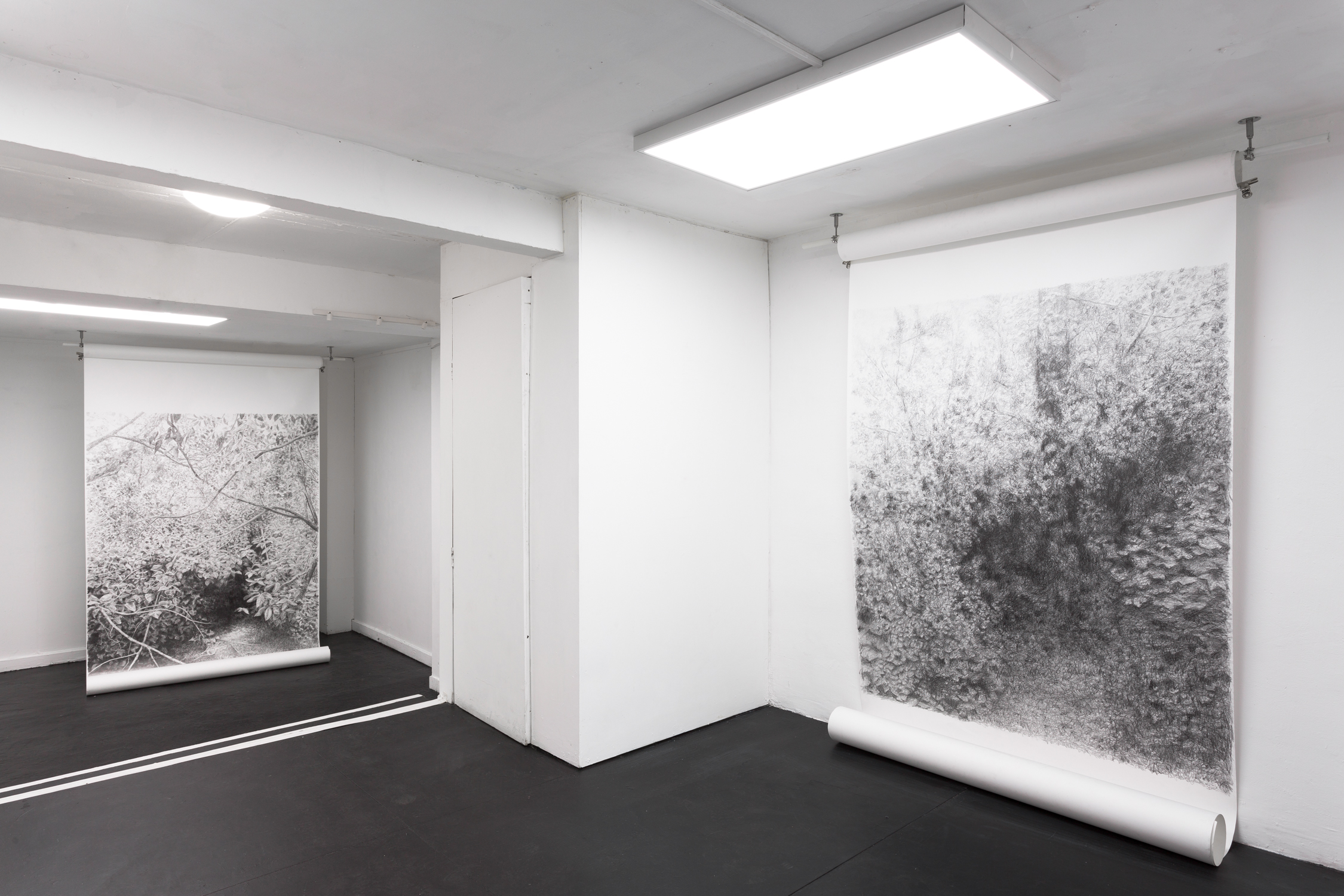 E M M A COOP – Artist exploring an affinity with nature in cities.